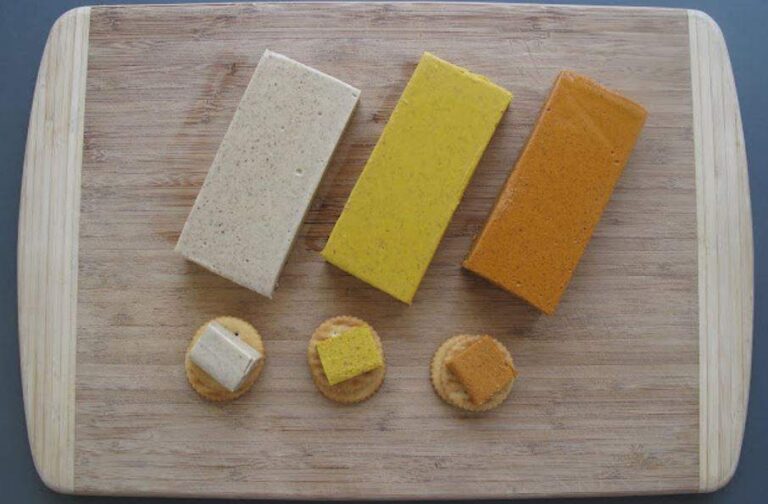 Heidi Ho Cheese Net Worth 2024 – Company Overview and More
